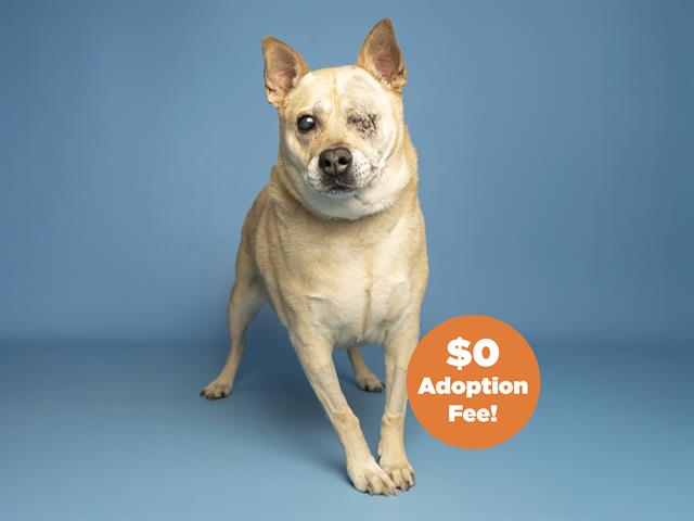 Khan Sure to Wink Her Way Into Your Heart!